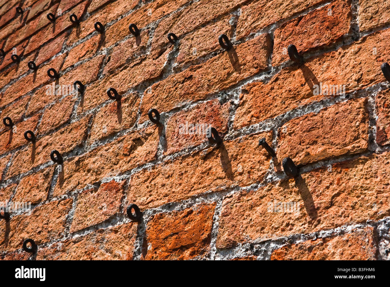Kitchen garden wall with cordon training eyelets Stock Photo - Alamy