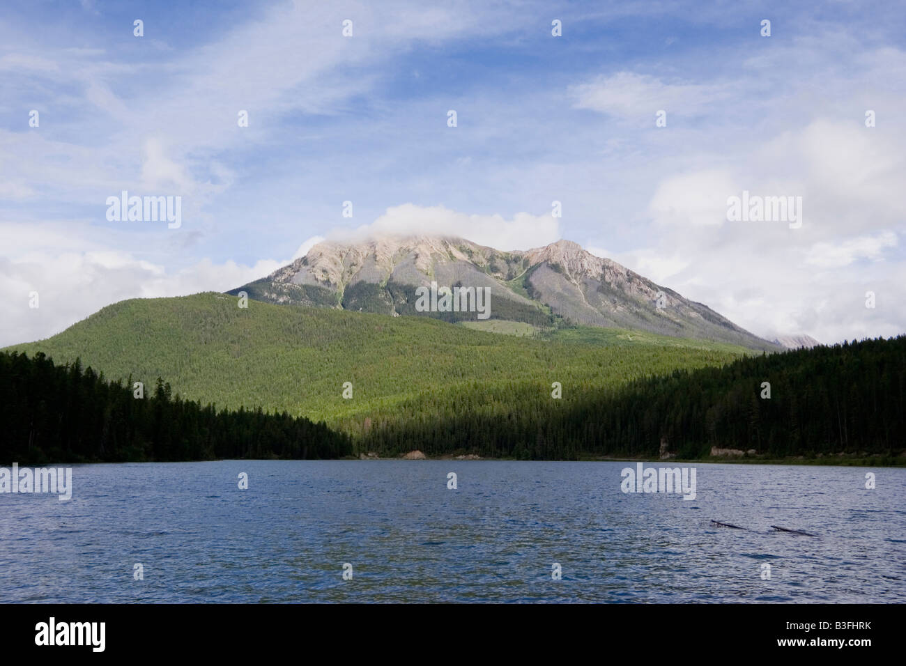 Whiteswan lake provincial park hi-res stock photography and images - Alamy