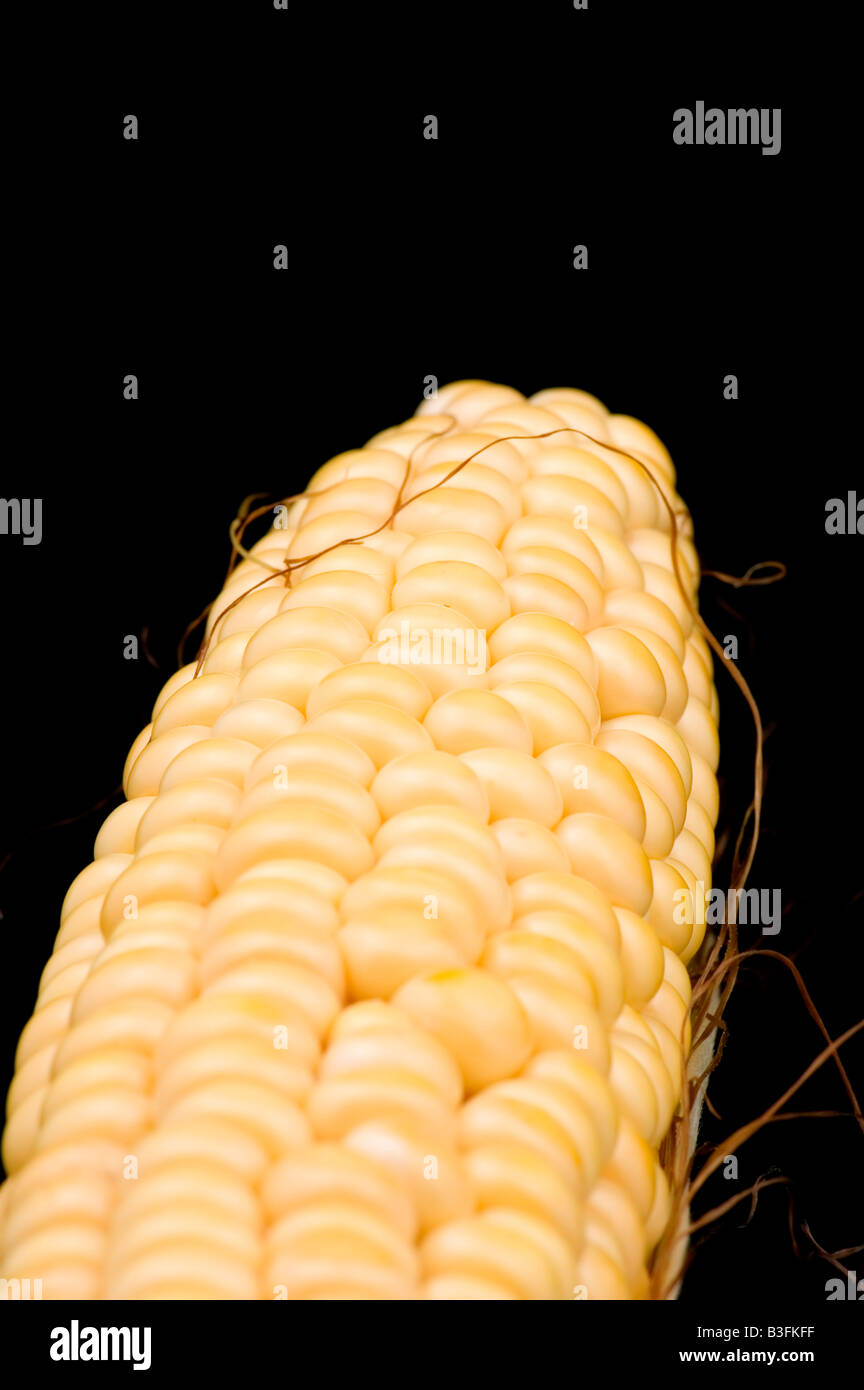 object on black food corn in cob Stock Photo - Alamy