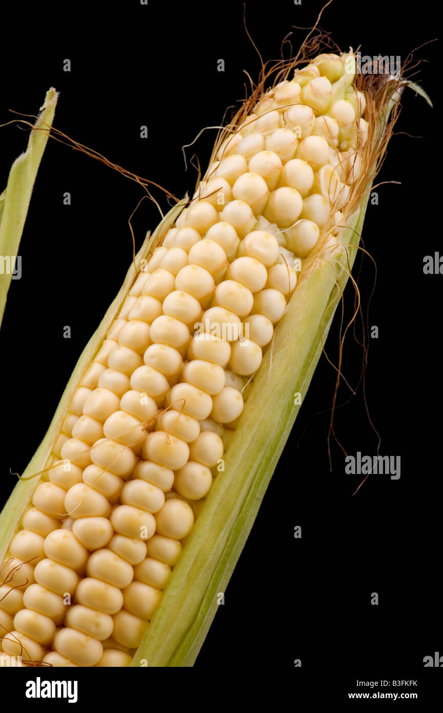 object on black food corn in cob Stock Photo - Alamy