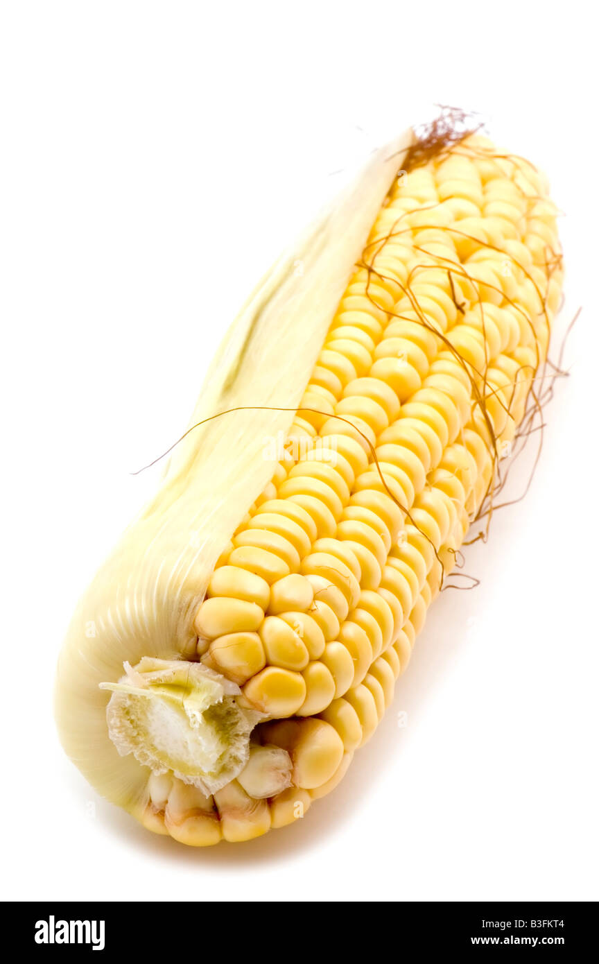 object on white food corn in cob Stock Photo - Alamy