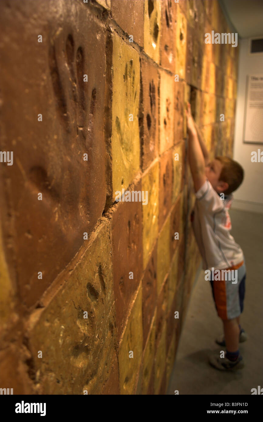 Wall of hands Stock Photo - Alamy
