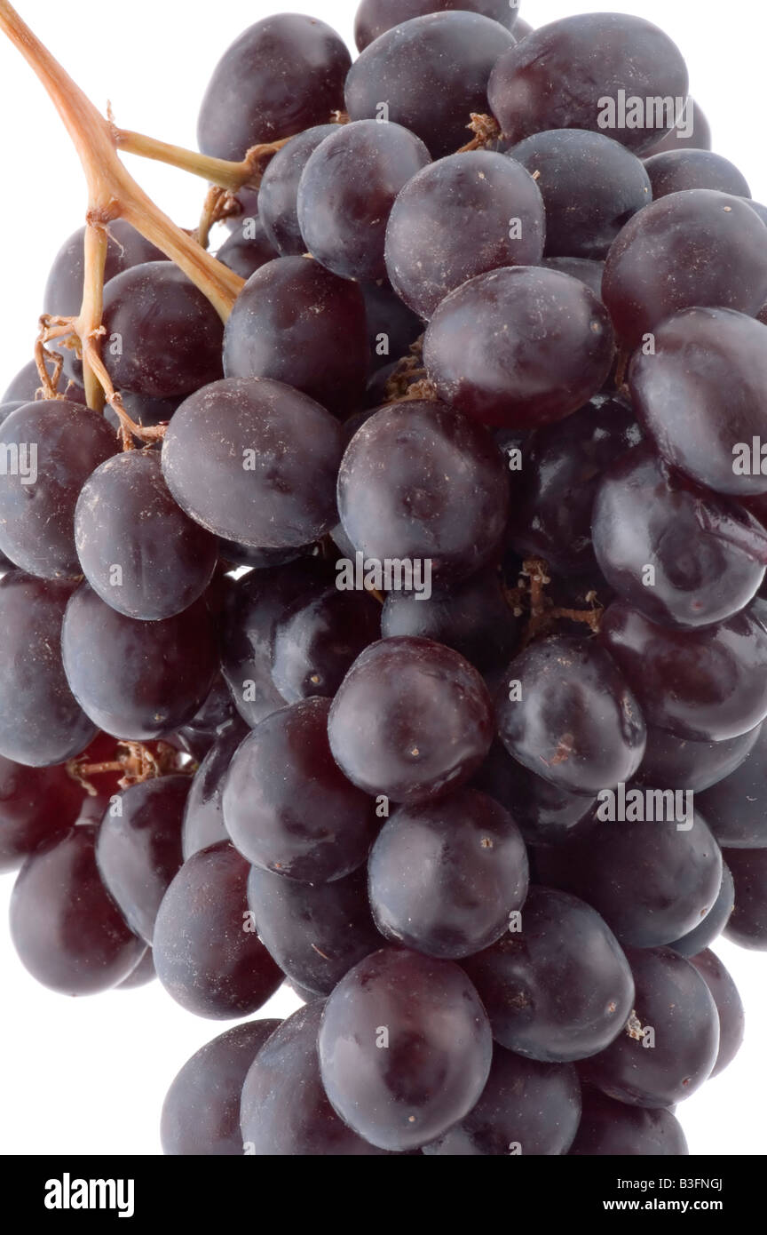 object on white food Black grapes Stock Photo - Alamy