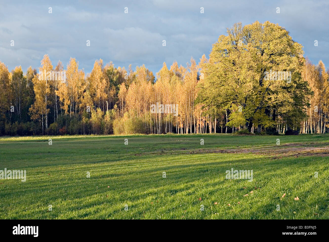 Latvian national parks hi-res stock photography and images - Alamy