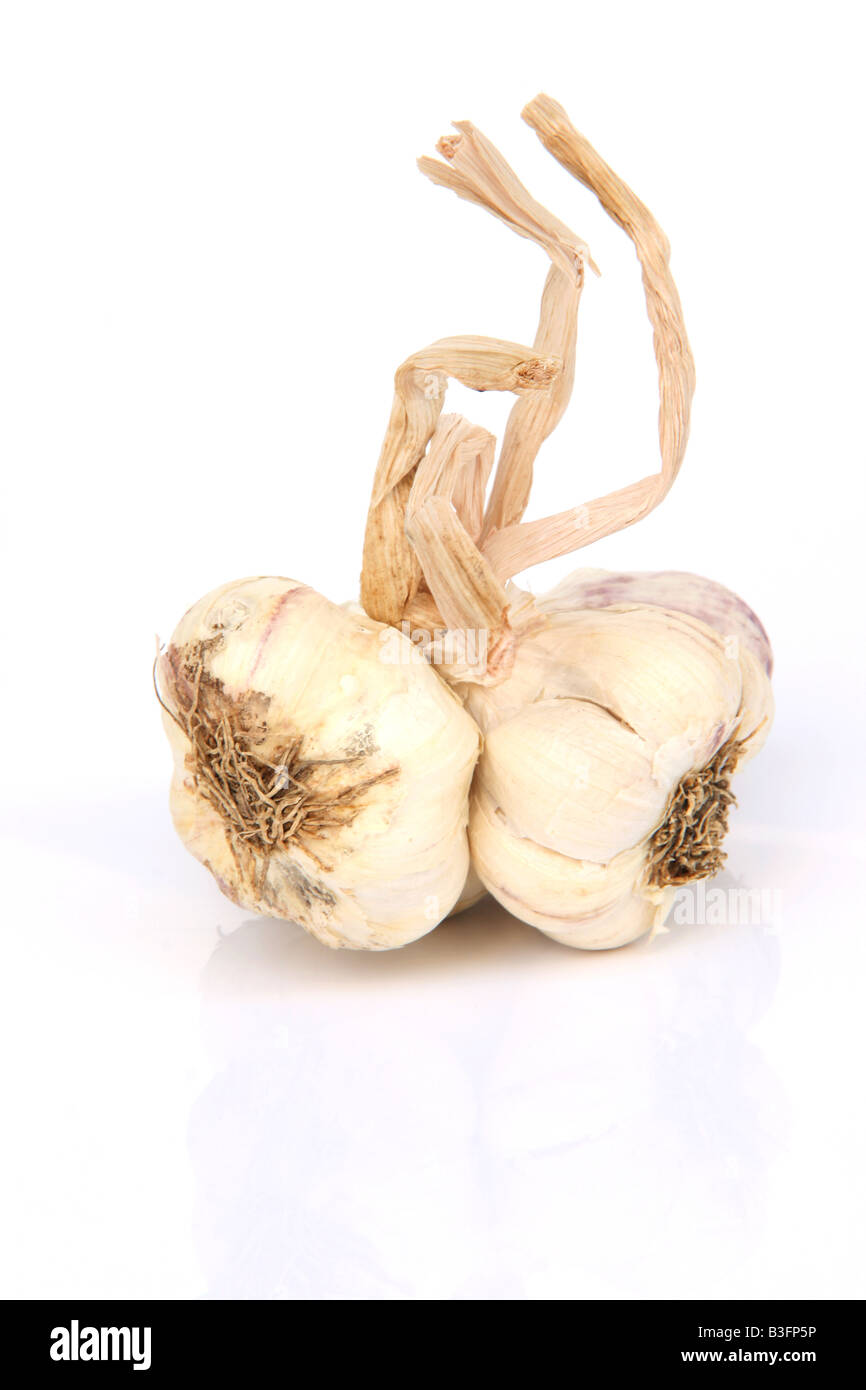 two dry garlic bulbs isolated with small reflection Stock Photo - Alamy