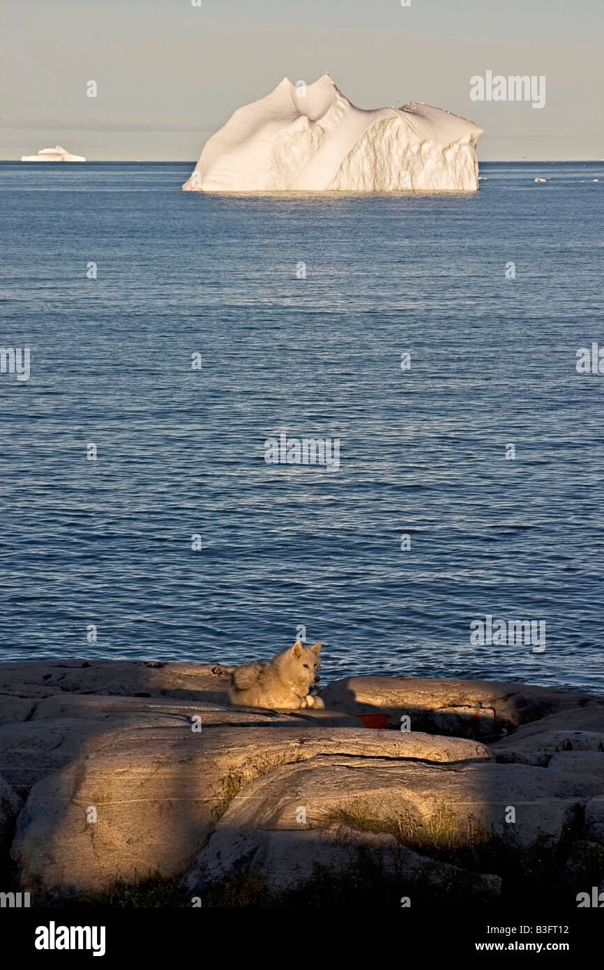 Disco Island Greenland Stock Photo - Alamy