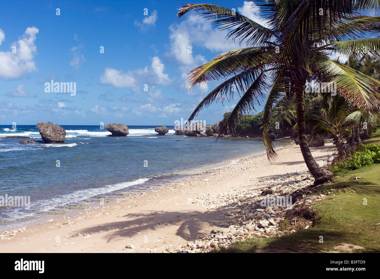 Bathsheba Beach, Barbados Caribbean Stock Photo - Alamy