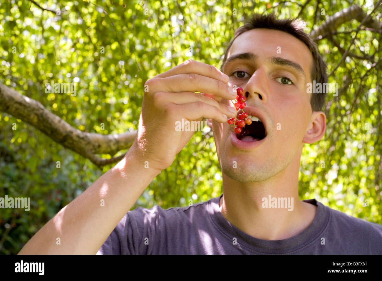 Eating park Cut Out Stock Images & Pictures - Alamy