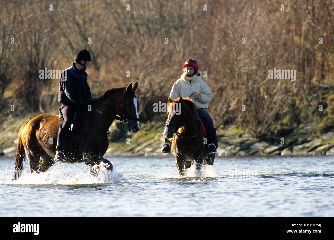 horses rider ride Stock Photo - Alamy
