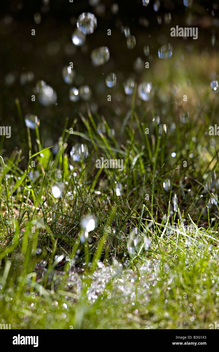 Falling waterdrops while water the garden Stock Photo - Alamy
