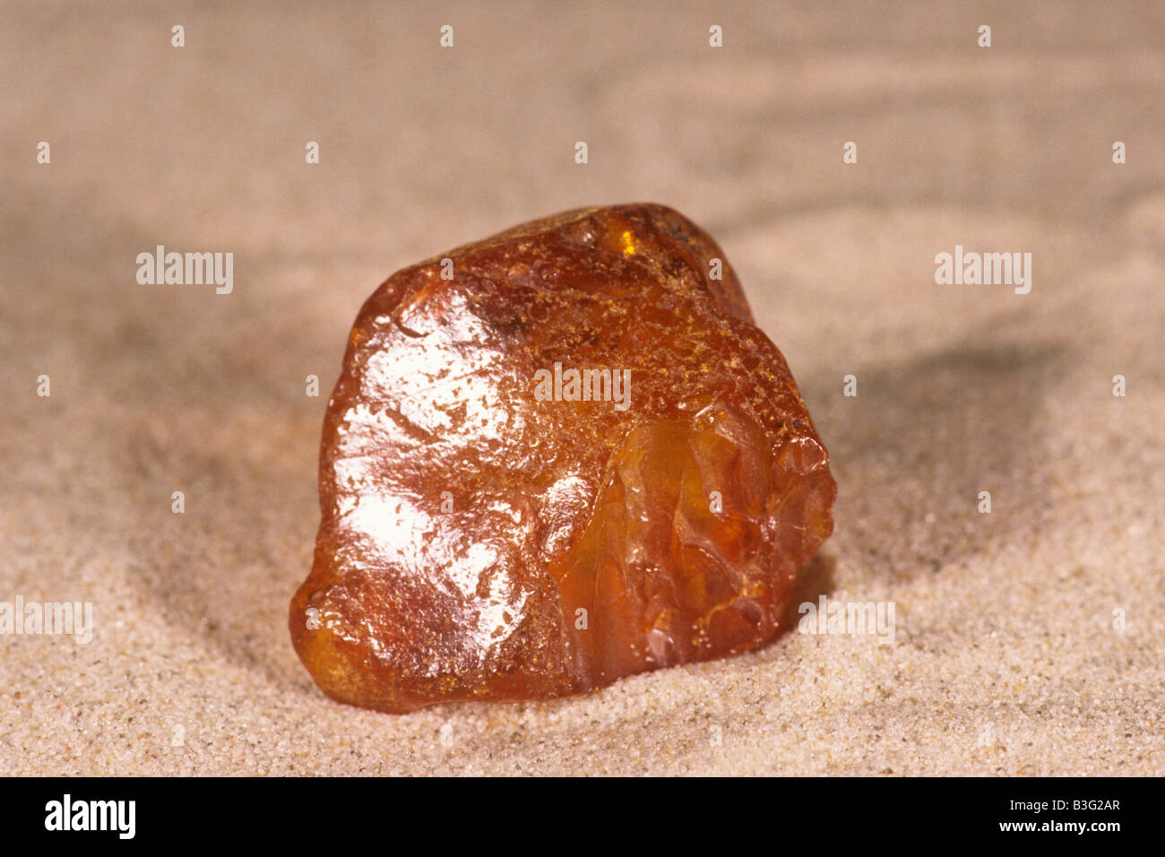Amber on a beach Stock Photo - Alamy