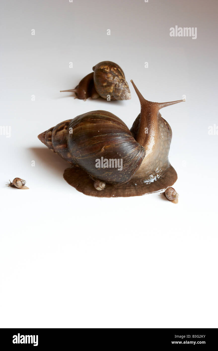 African land hi-res stock photography and images - Alamy