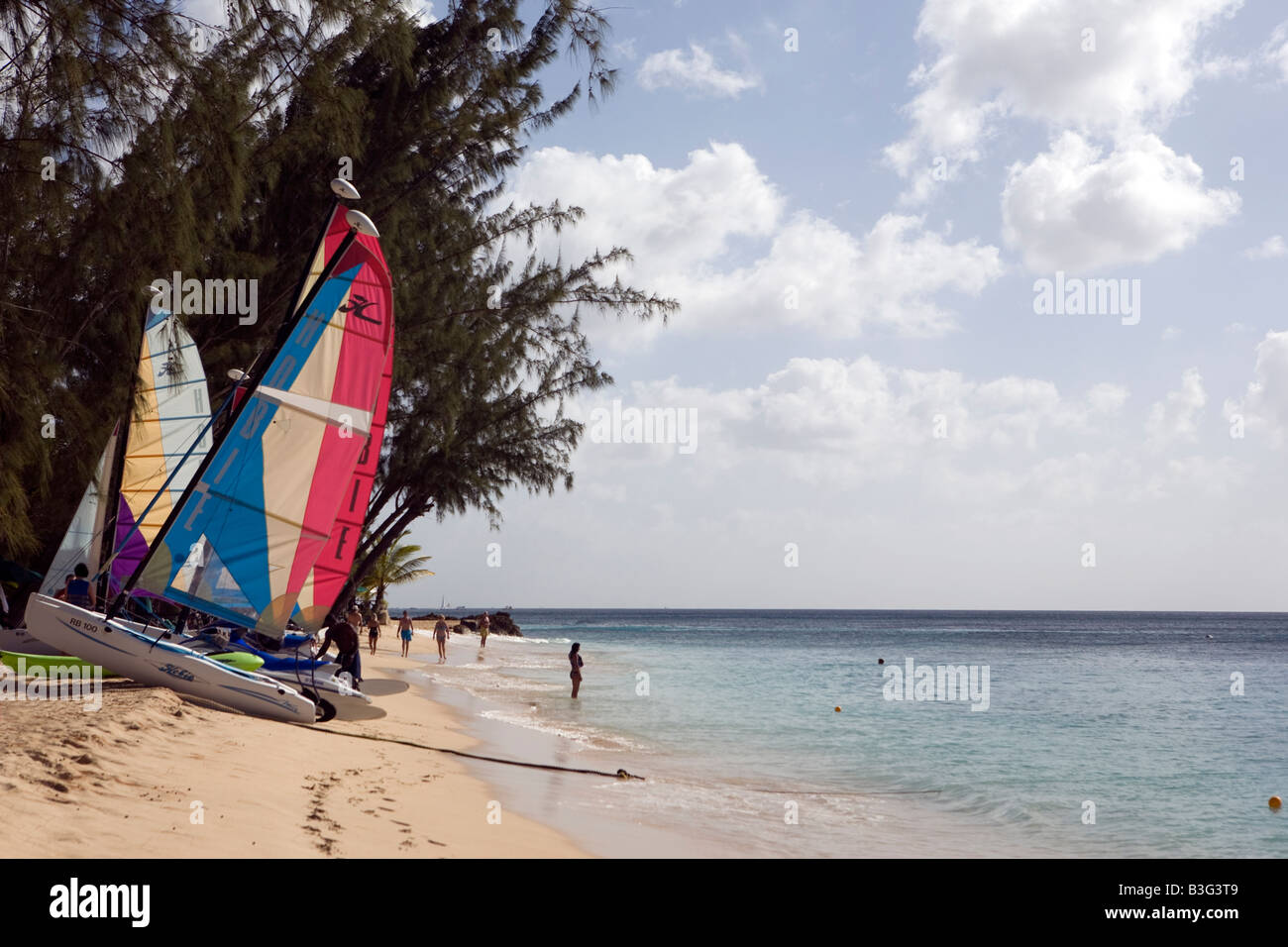 Windsurfing sailboards on the beach, Barbados Caribbean Stock Photo - Alamy