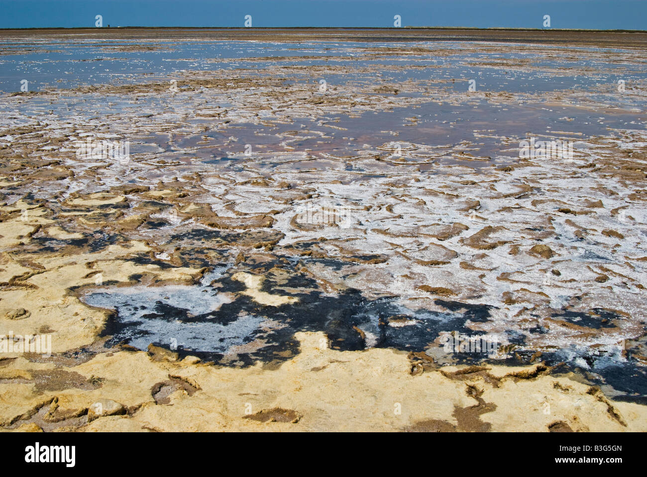 The Camargue Salt Flats High Resolution Stock Photography And Images the-camargue-salt-flats-high-resolution-stock-photography-and-images