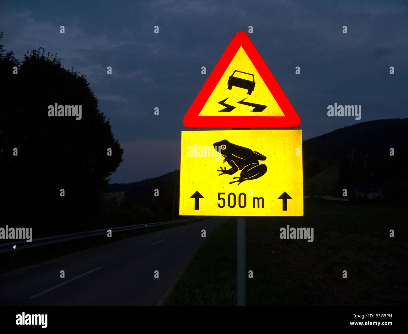 Frog on road hi-res stock photography and images - Alamy