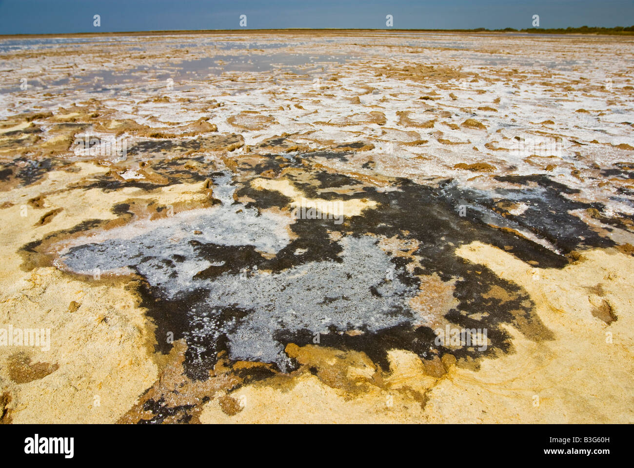 The salt of the earth hi-res stock photography and images - Alamy