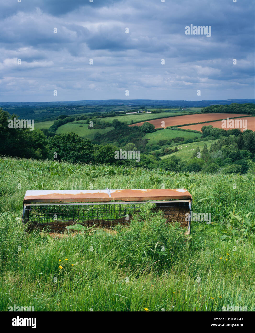 Devon fields and hedgerows hi-res stock photography and images - Alamy