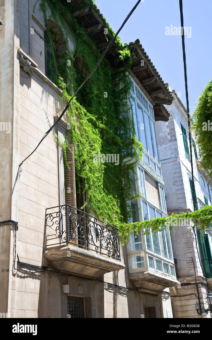 Balconies in a narrow street in Palma, Mallorca, Spain Stock Photo - Alamy