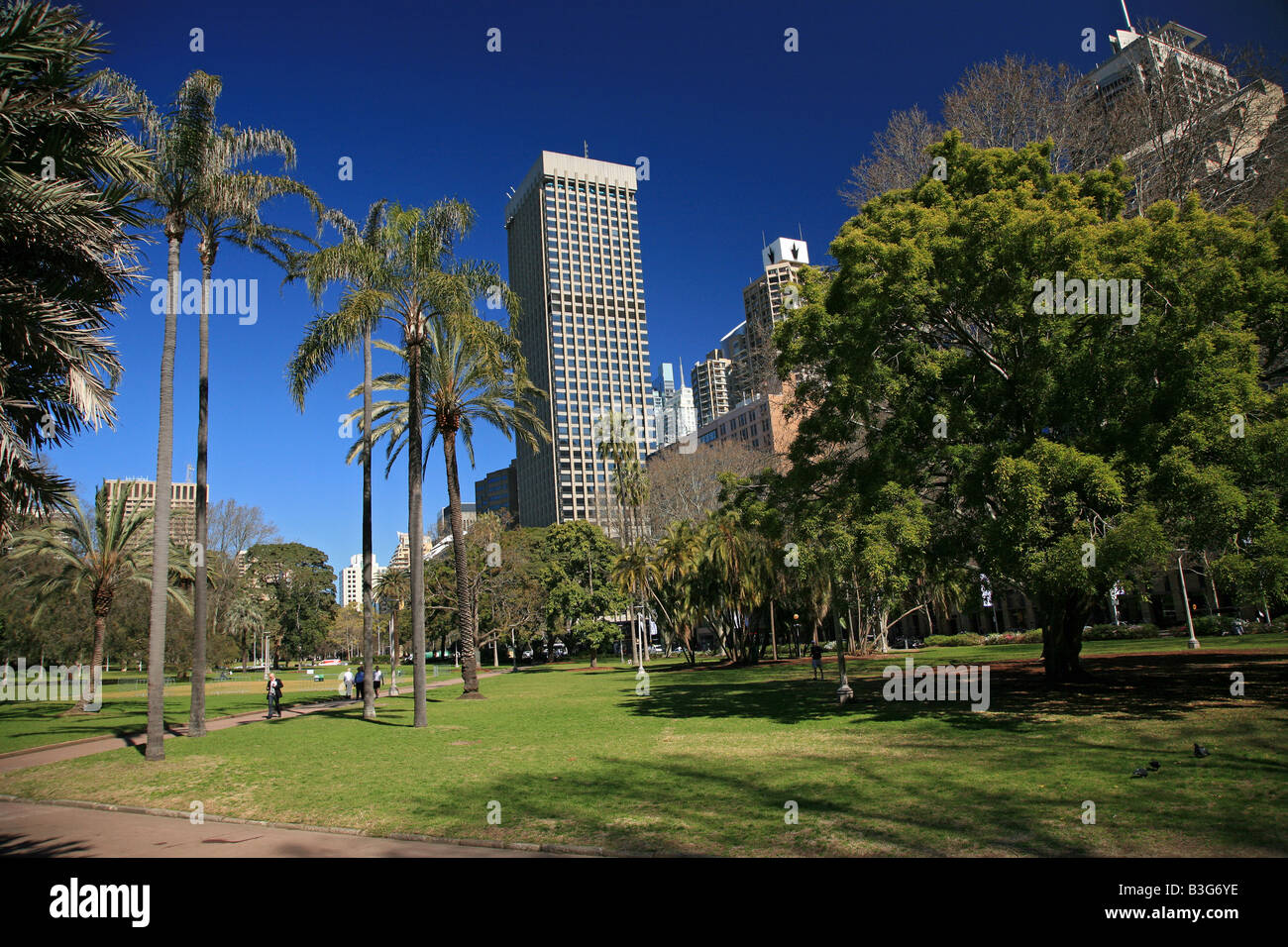 Sydney high rise offices hi-res stock photography and images - Alamy