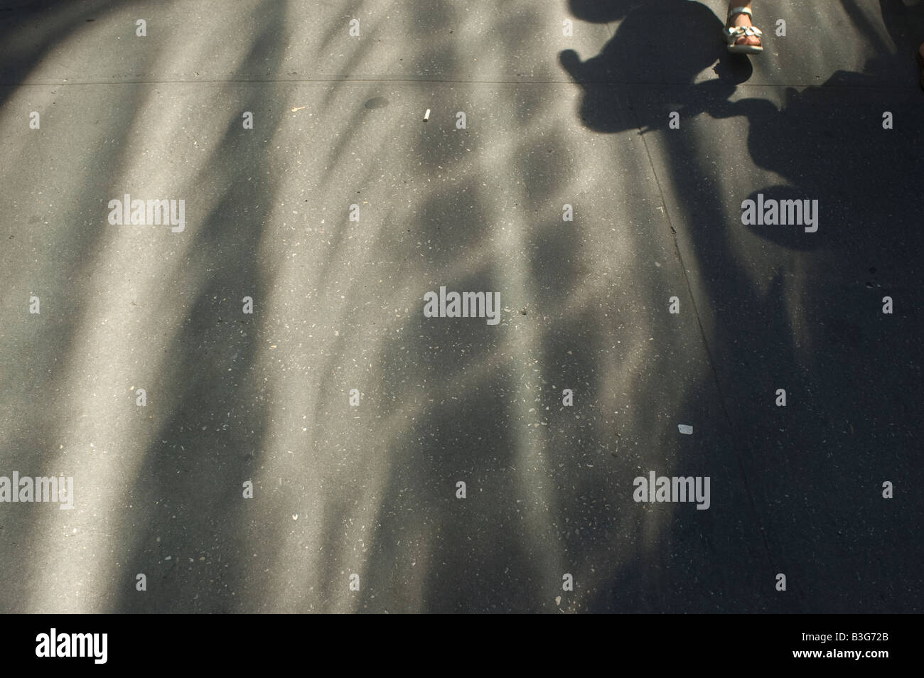 Shadows on the street Stock Photo - Alamy