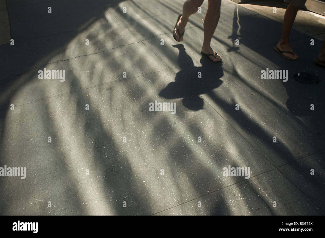 Zories hi-res stock photography and images - Alamy