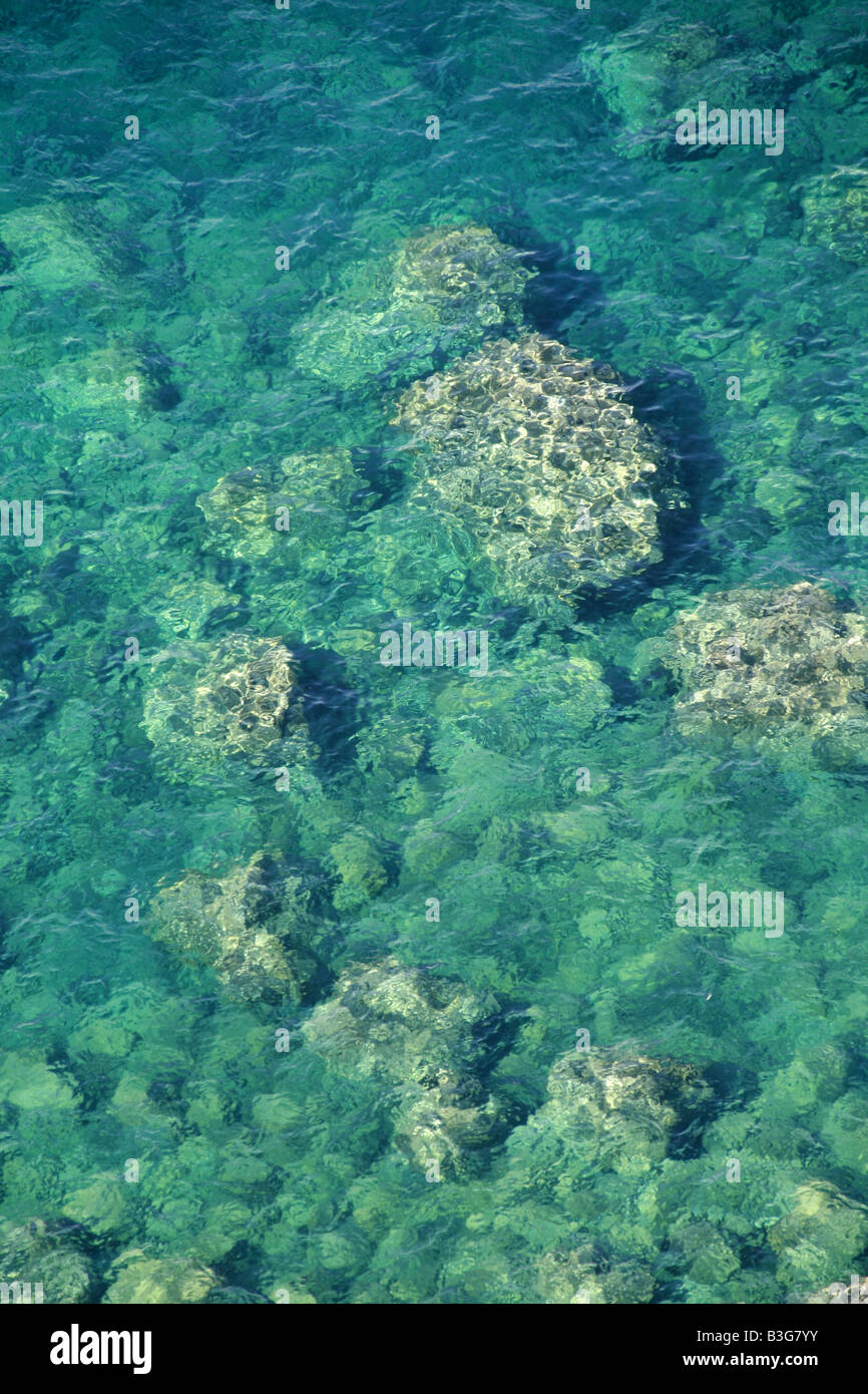 aerial view of empty clear blue tropical sea Stock Photo - Alamy
