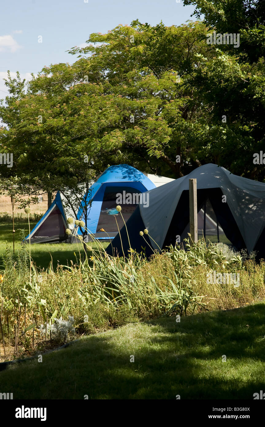 three camping tents Stock Photo - Alamy