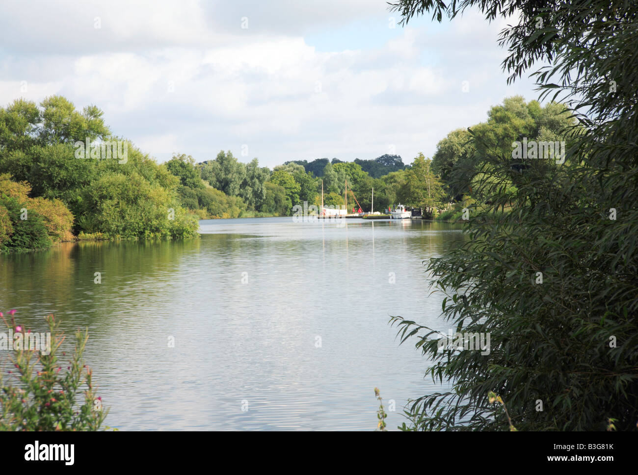 The River Yare at Surlingham Ferry, Norfolk, UK Stock Photo - Alamy