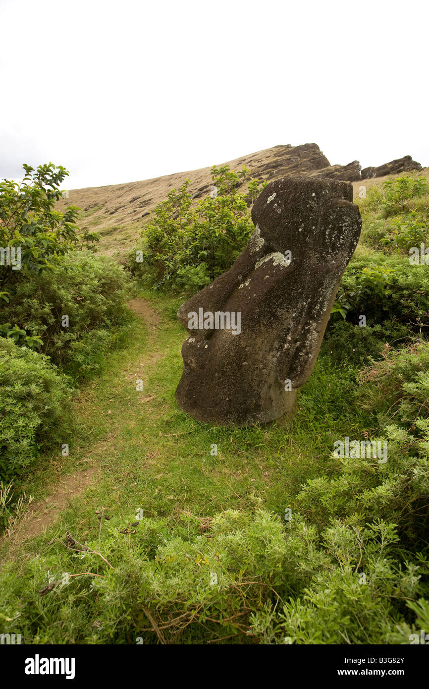 Mooney faces hi-res stock photography and images - Alamy