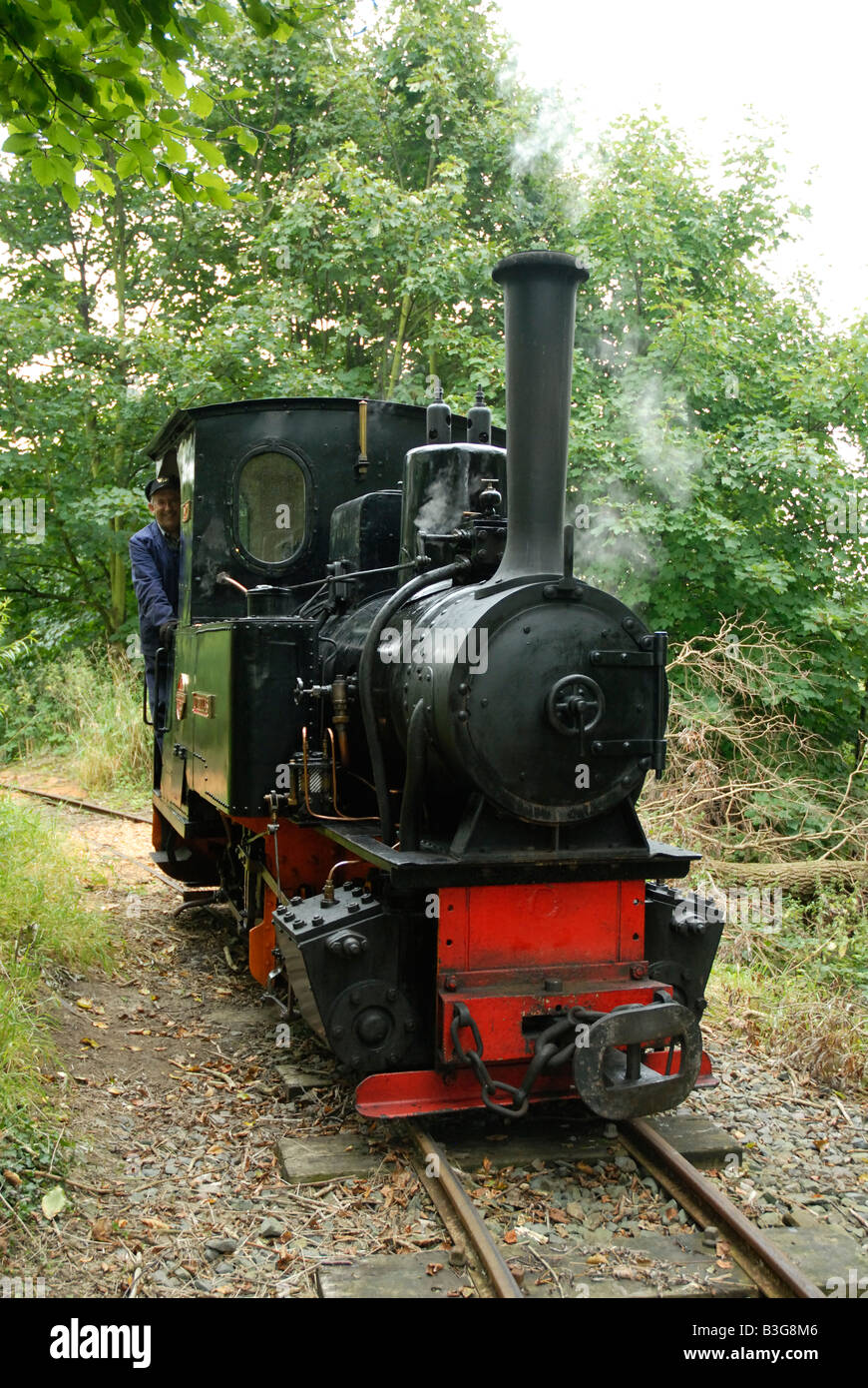 Steam locomotive engine train narrow gauge enthusiasts volunteers ...
