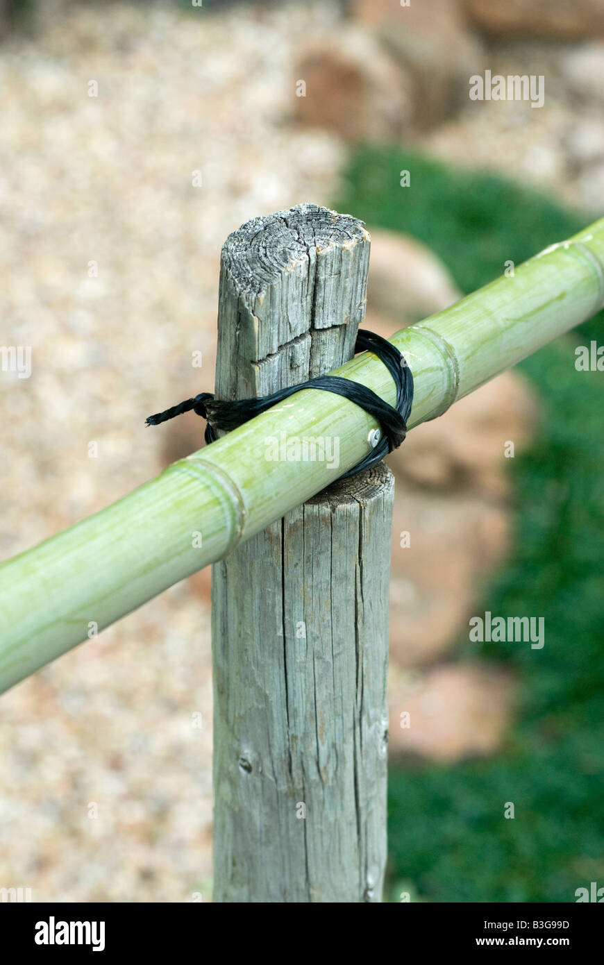 Bamboo botanical garden railing hi-res stock photography and images - Alamy