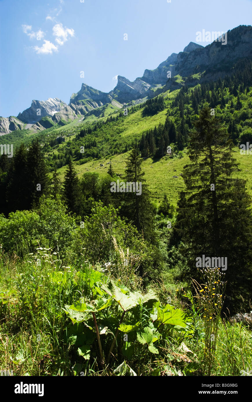 Col des Aravis Stock Photo - Alamy