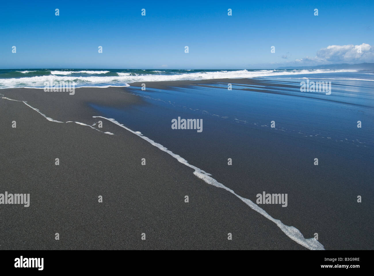 Gold bluffs beach redwoods hi-res stock photography and images - Alamy