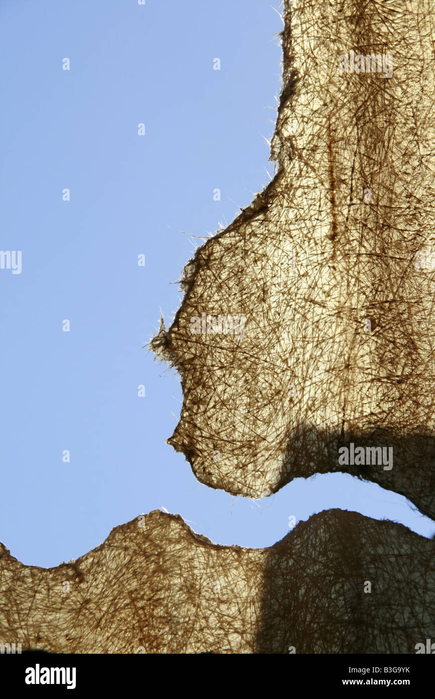 Damaged asbestos hi-res stock photography and images - Alamy