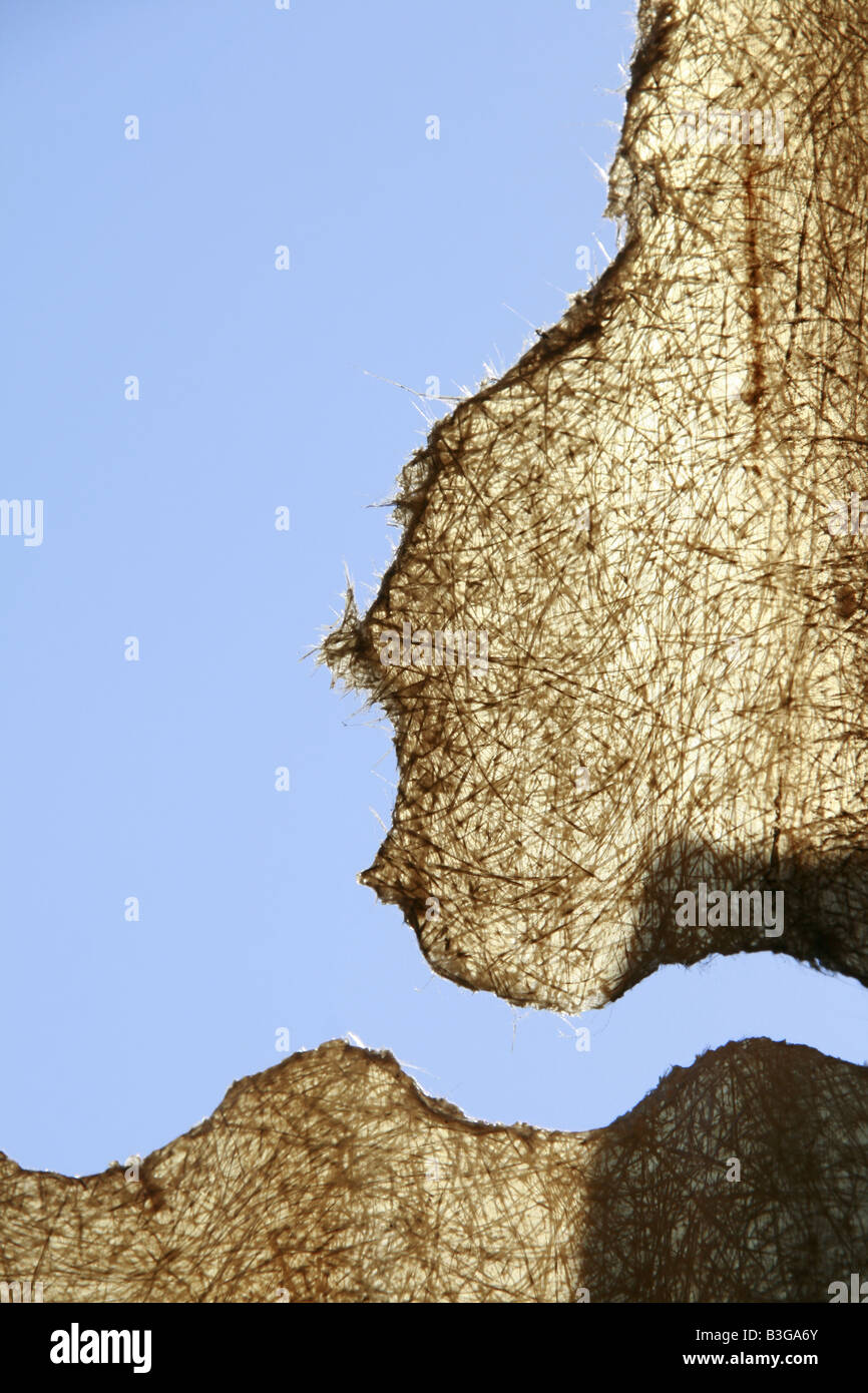 damaged asbestos window in derelict property Stock Photo - Alamy