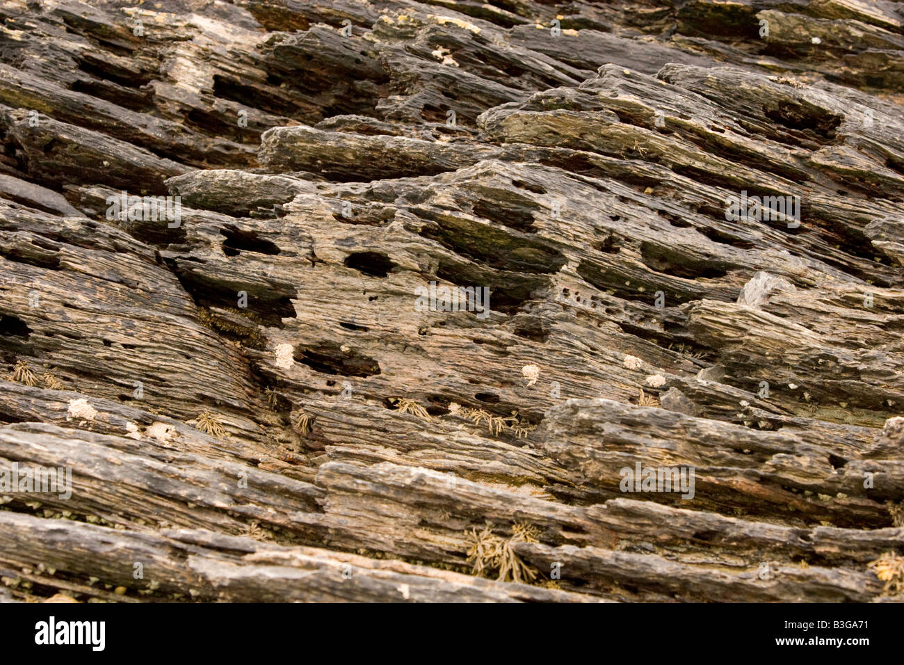 Exposed and eroded rocks in cliffs Stock Photo - Alamy