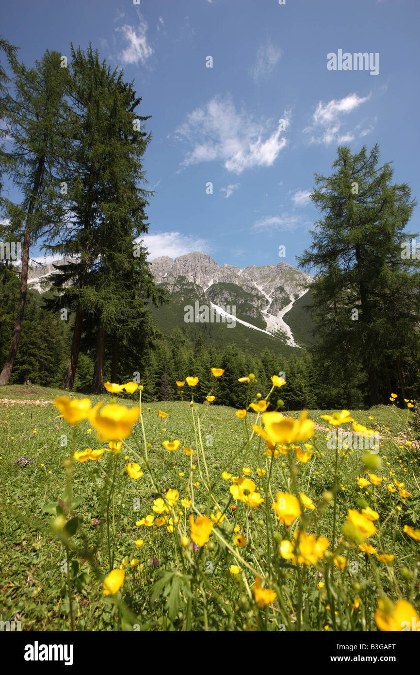 AUT, Austria, Tyrol: Stubaital, Stubai Valley Stock Photo - Alamy