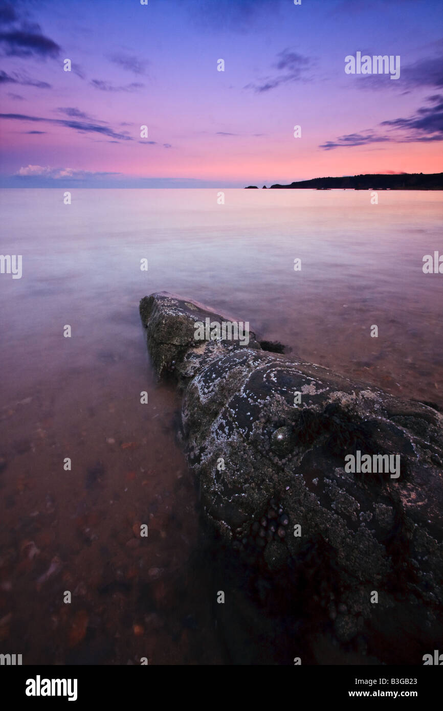 Alligator Rock High Resolution Stock Photography and Images - Alamy