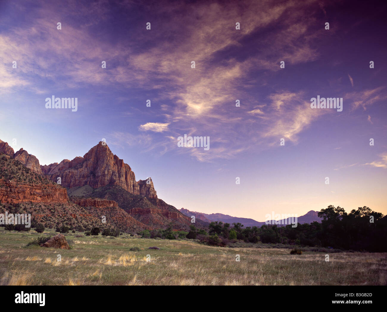 The Watchman in South Zion Canyon in spring Stock Photo - Alamy
