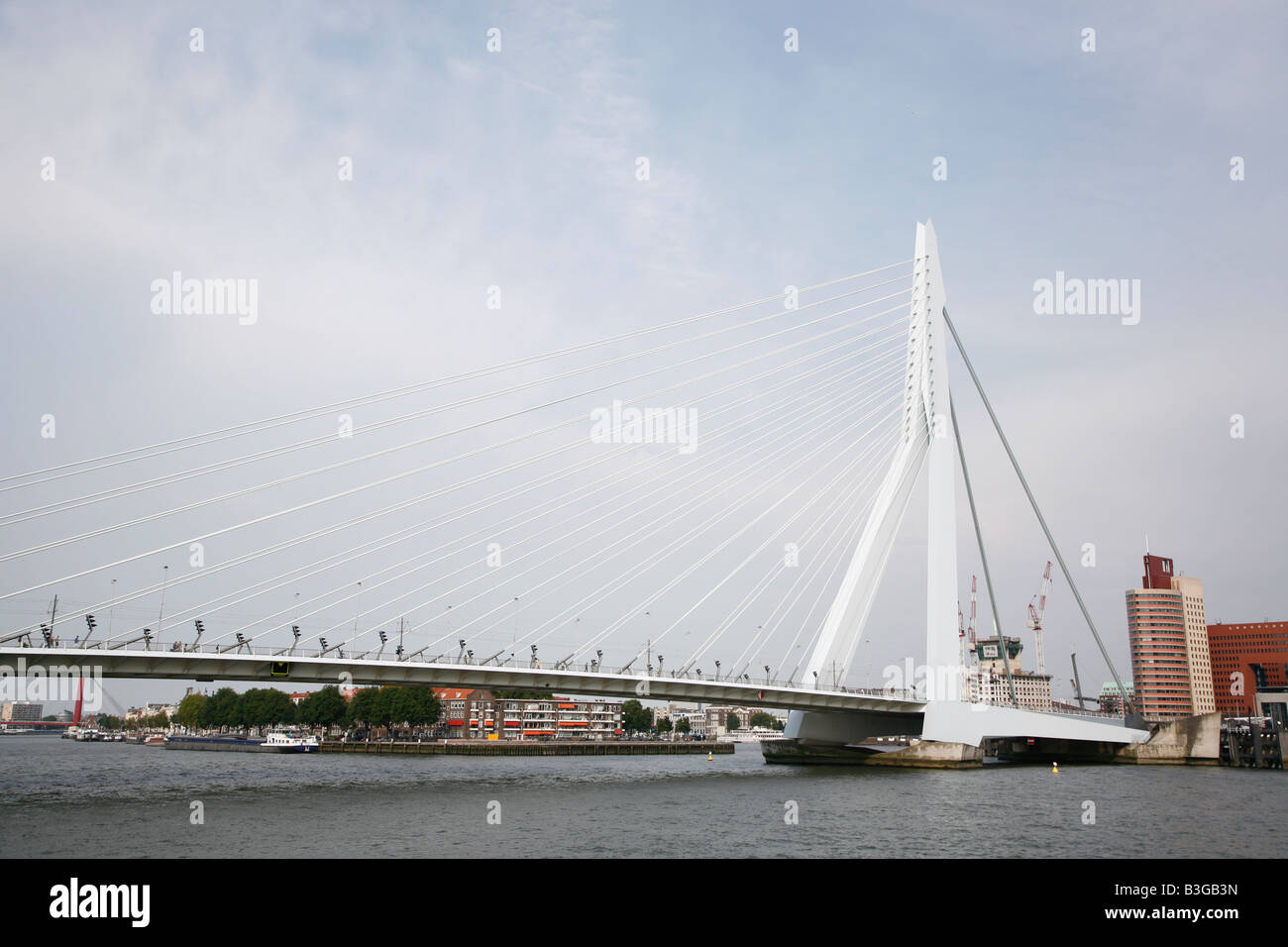 Erasmus Bridge, Maas River, Rotterdam, Netherlands Stock Photo - Alamy