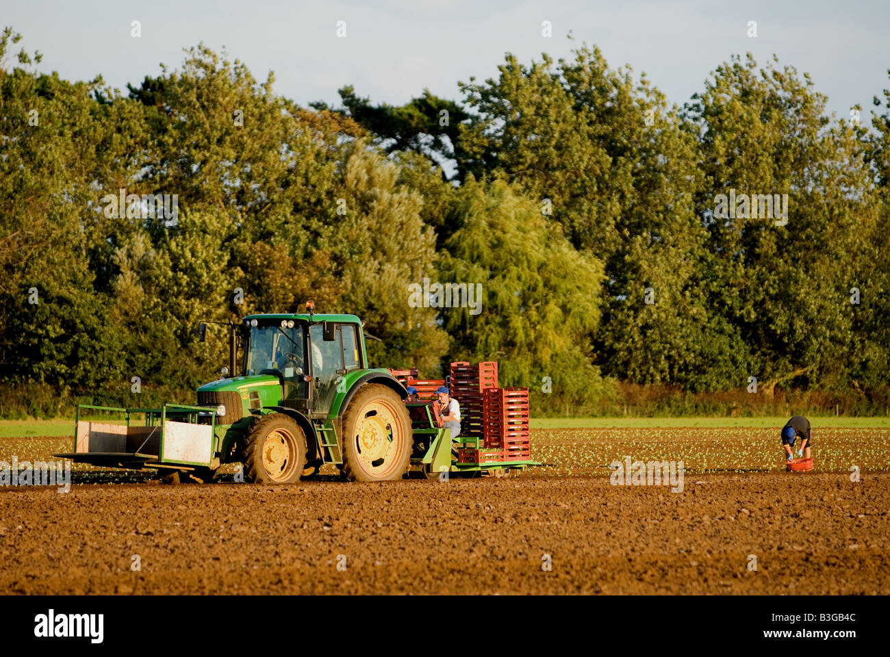 Eastern European Labour Stock Photos & Eastern European Labour Stock ...