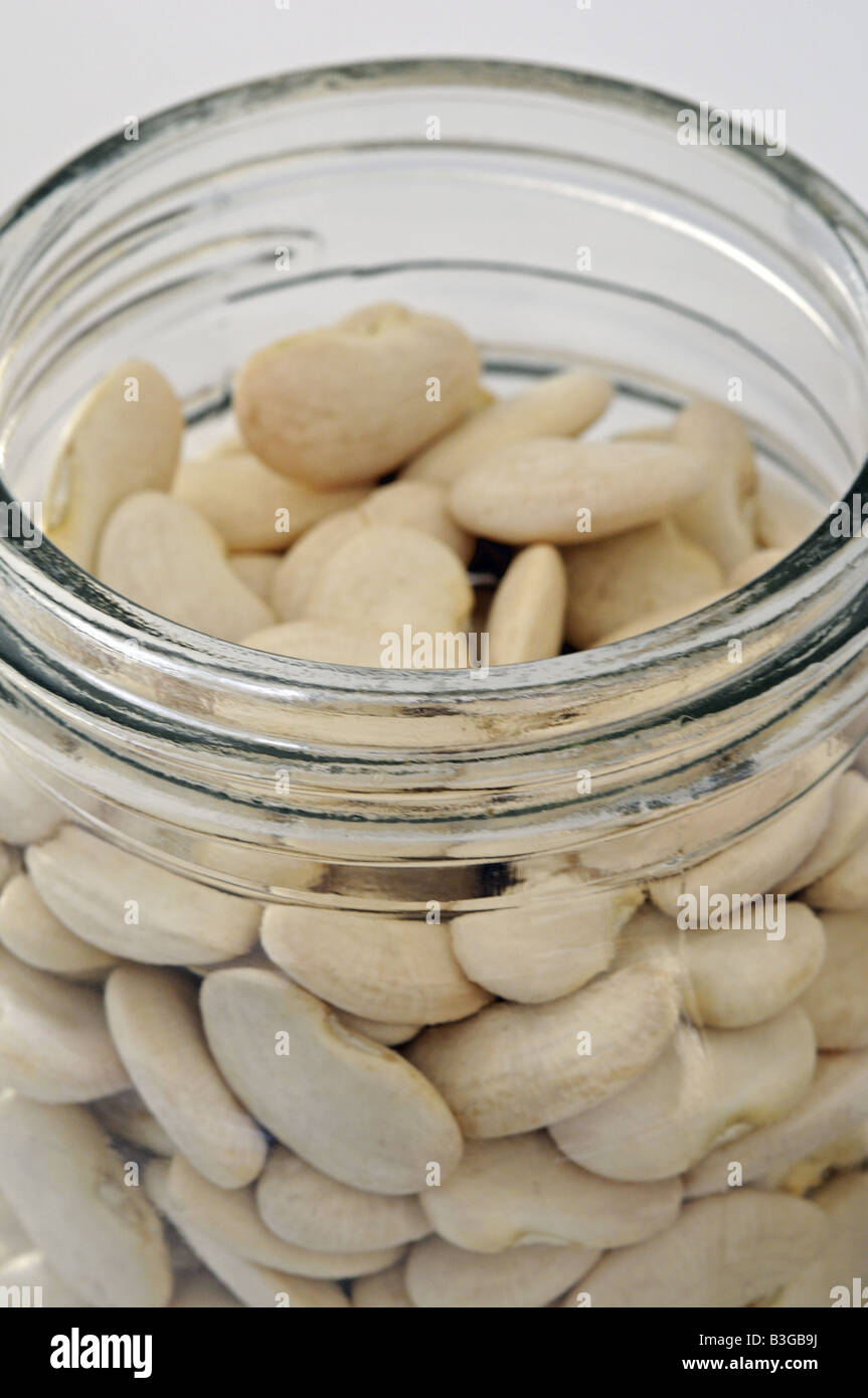 Phaseolus lunatus hi-res stock photography and images - Alamy