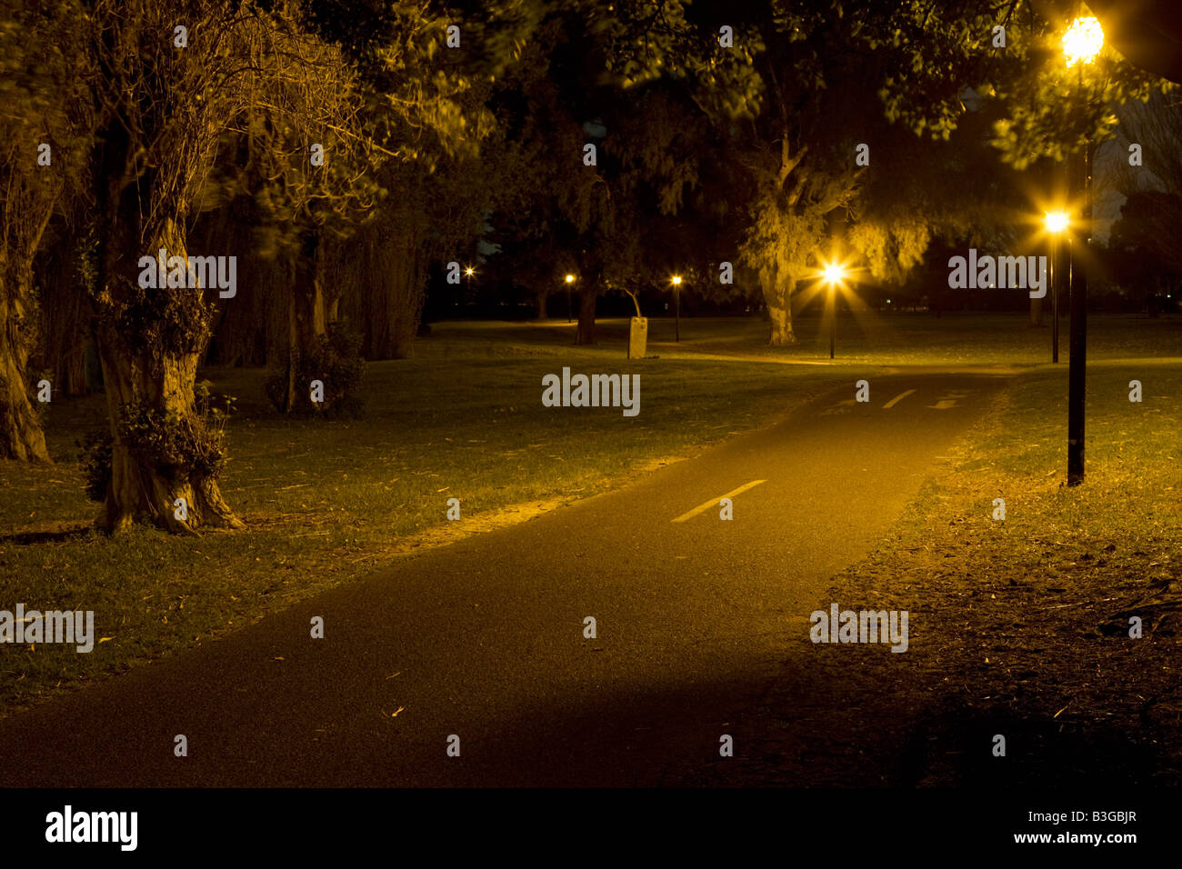 A path through a park lit with street lamps at night Stock Photo - Alamy