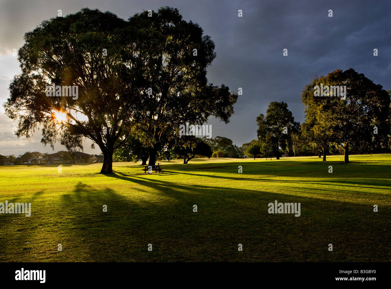 The sun setting behind trees at Lake Monger Reserve in Perth, Western ...