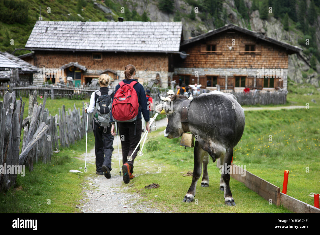 AUT, Austria, Tyrol: Stubaital, Stubai Valley. Hiking in the mountains ...