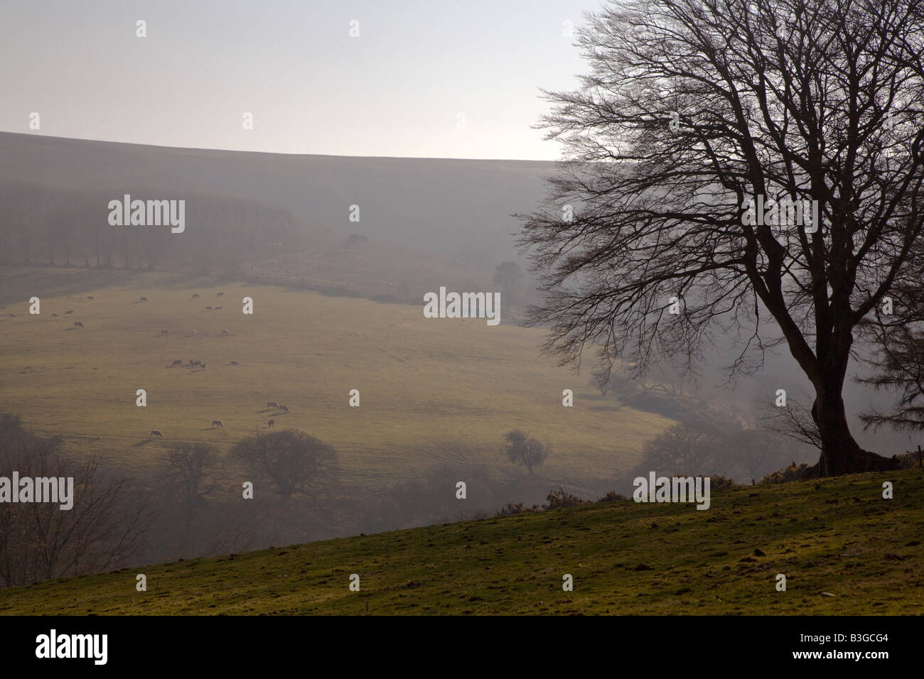Exmoor hills hi-res stock photography and images - Alamy