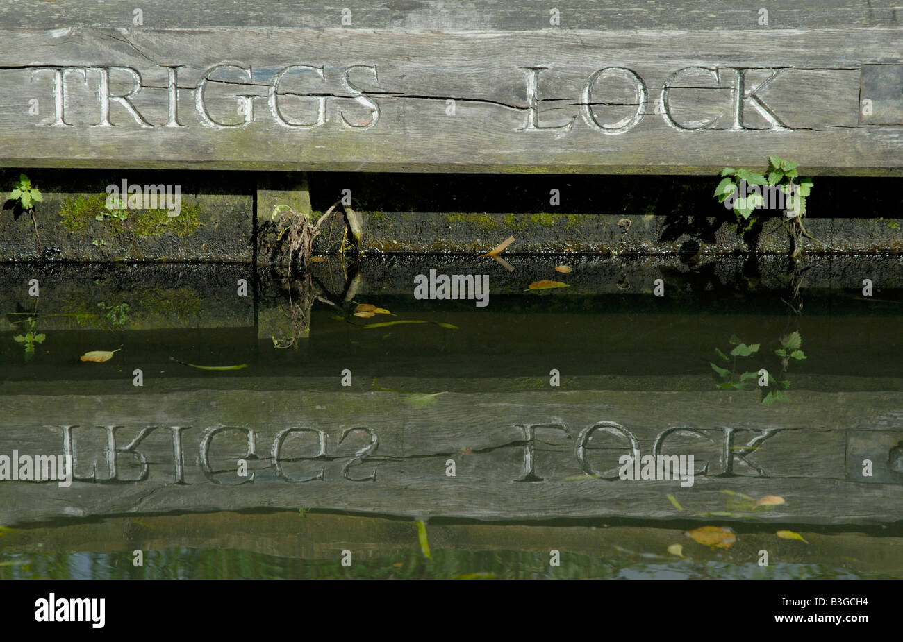 Triggs Lock: Name carved into wooden lock top gate with reflection in ...