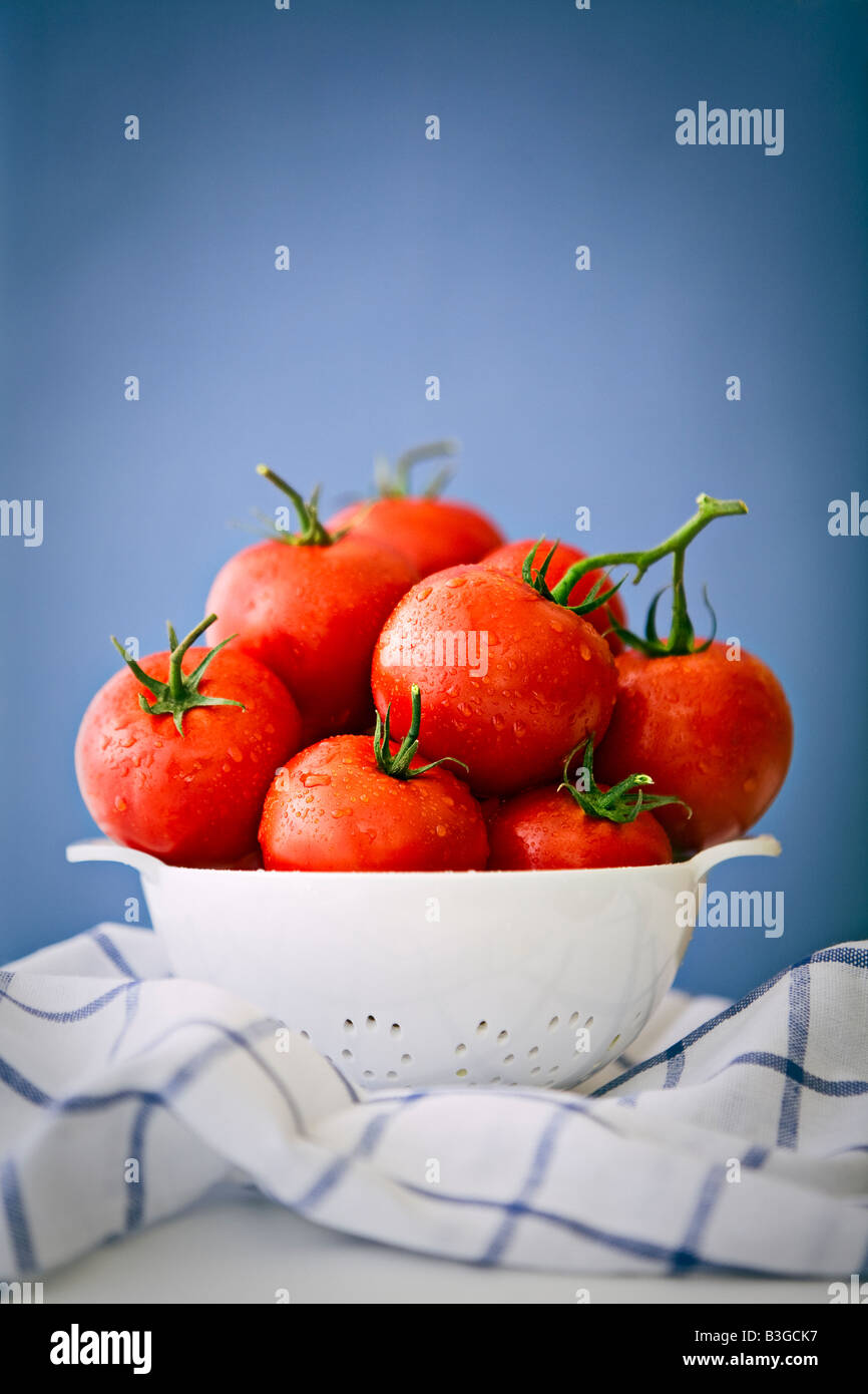 Blue tomato hi-res stock photography and images - Alamy