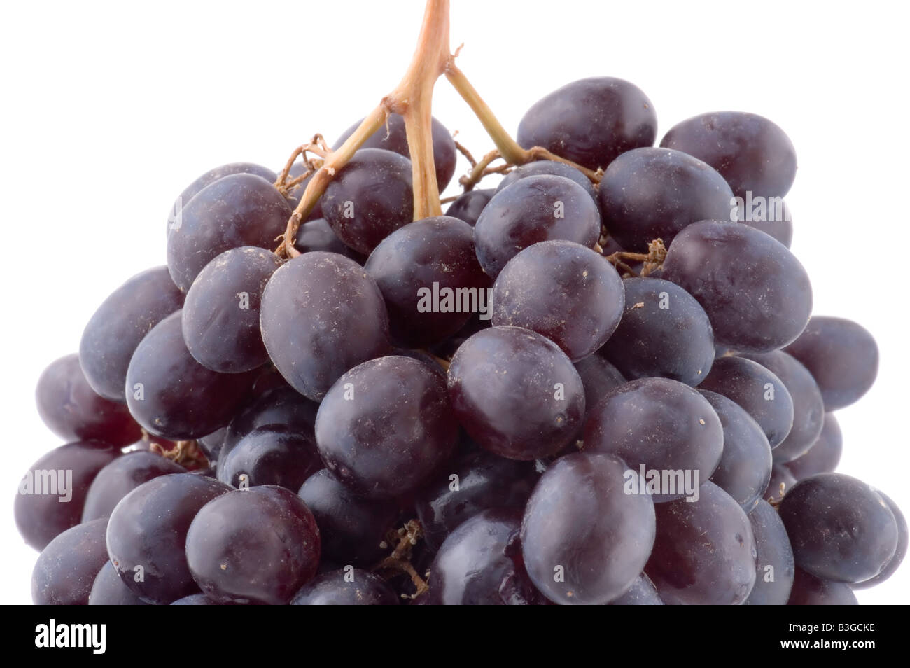 object on white food Black grapes Stock Photo - Alamy