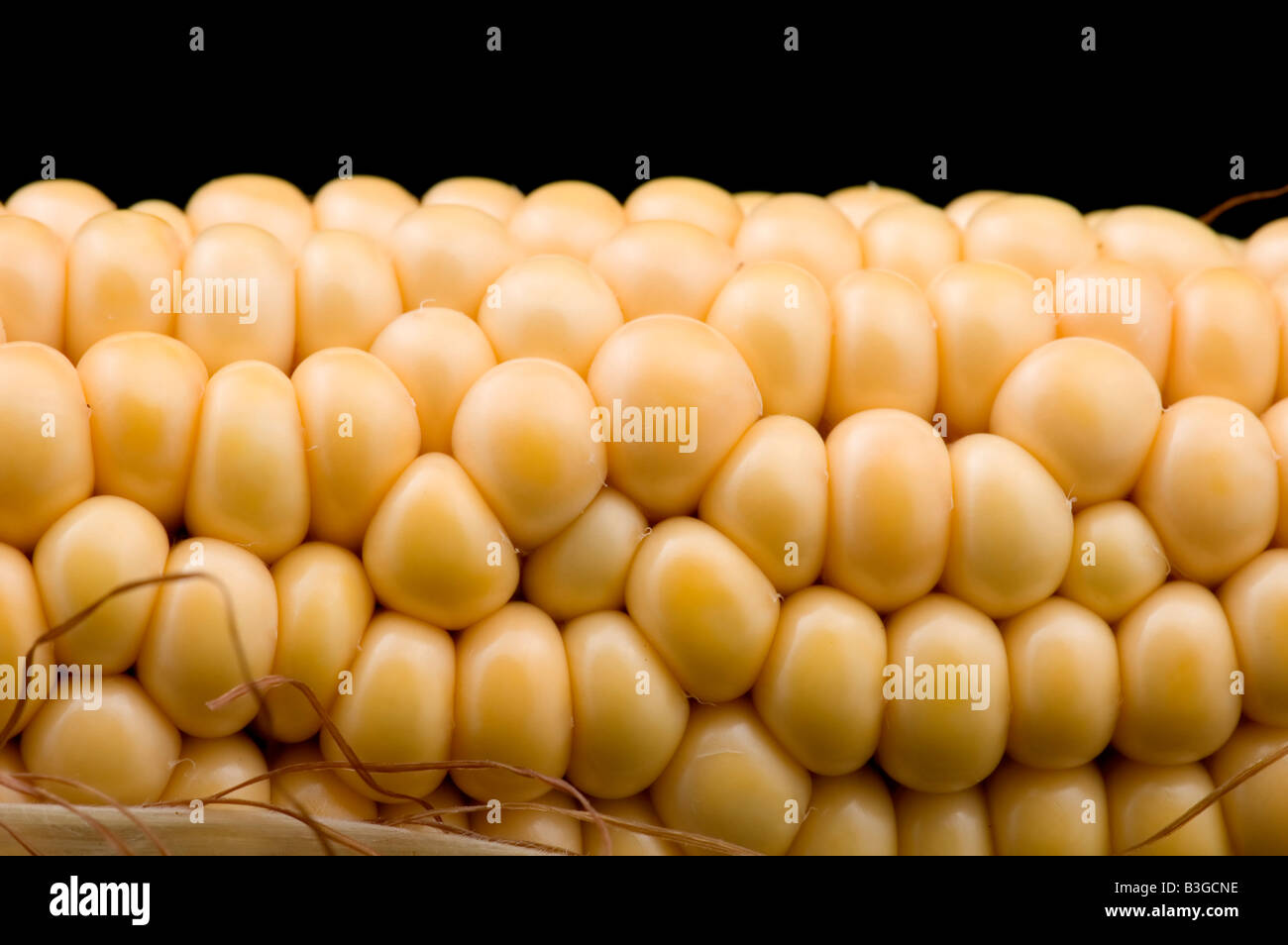 object on black food corn in cob Stock Photo - Alamy